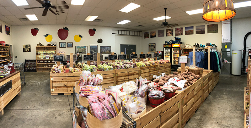 Photos | Perry Lowe Orchard
