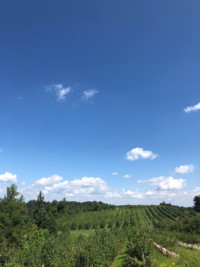 Photos | Perry Lowe Orchard