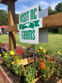 Photos | Perry Lowe Orchard